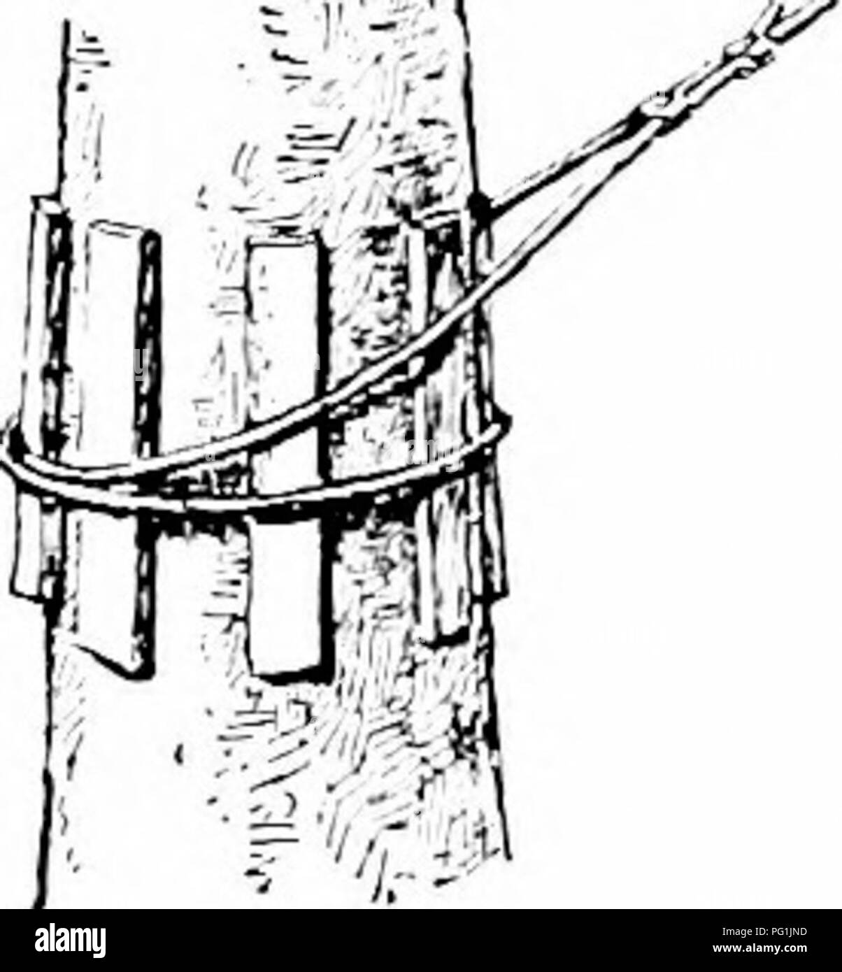 *Manual of Gardening* provides practical advice for home gardeners ...