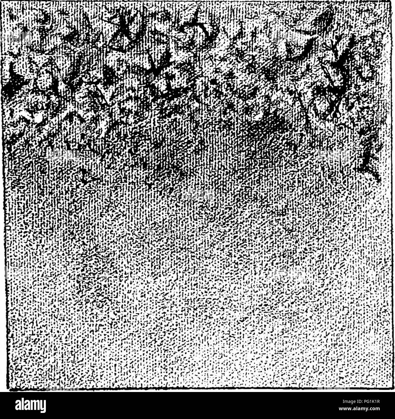 Poor surface preparation Black and White Stock Photos & Images - Alamy