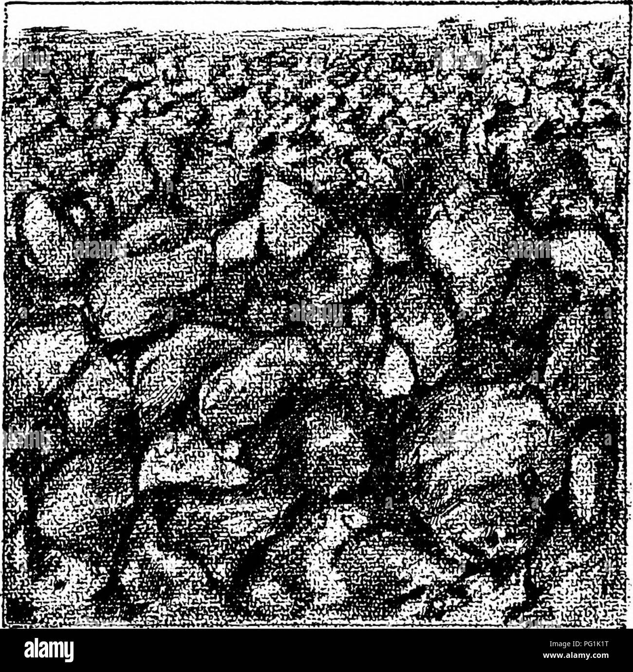 Soil crust Black and White Stock Photos & Images - Alamy