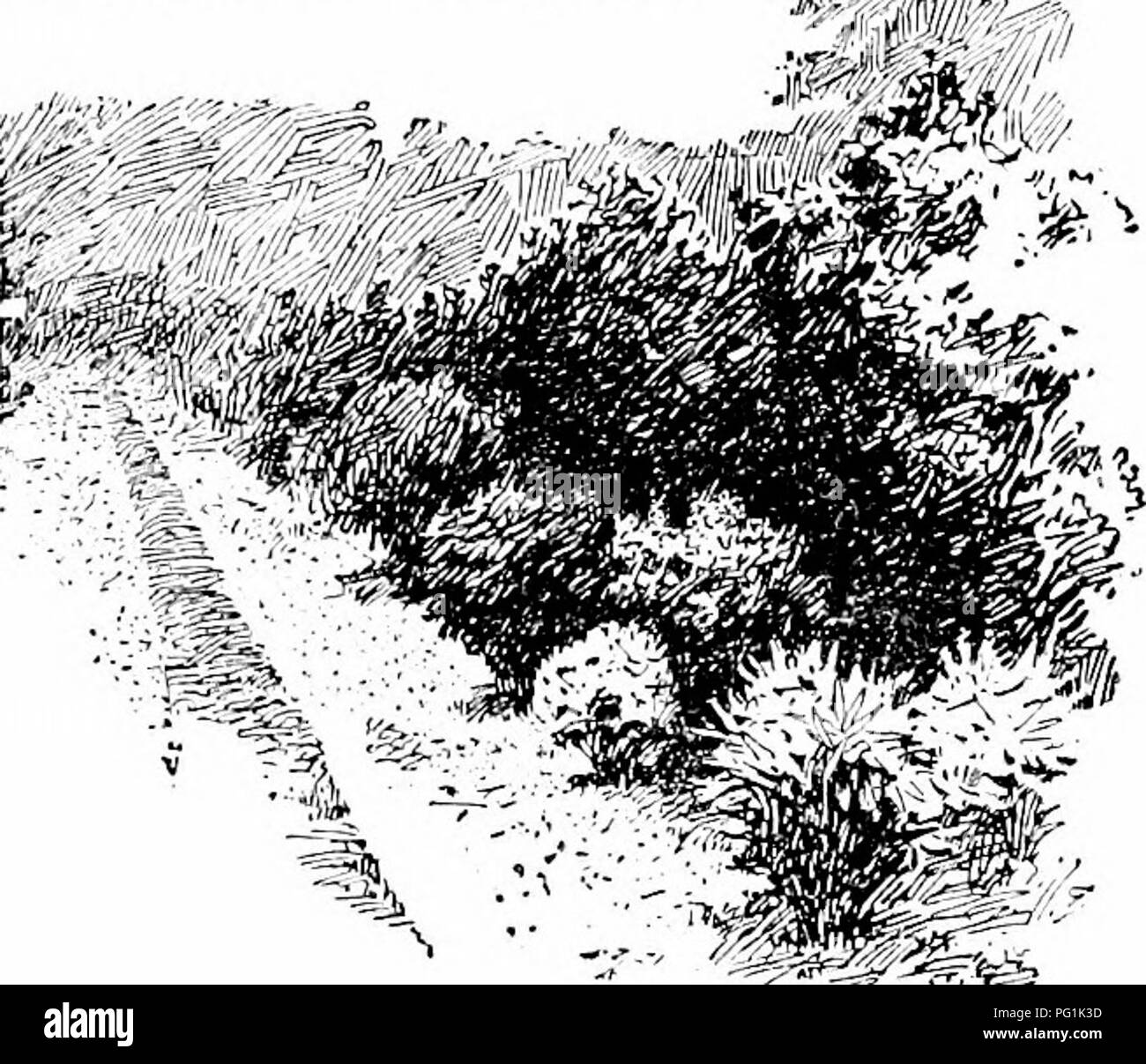 Composting fruits Black and White Stock Photos & Images - Alamy