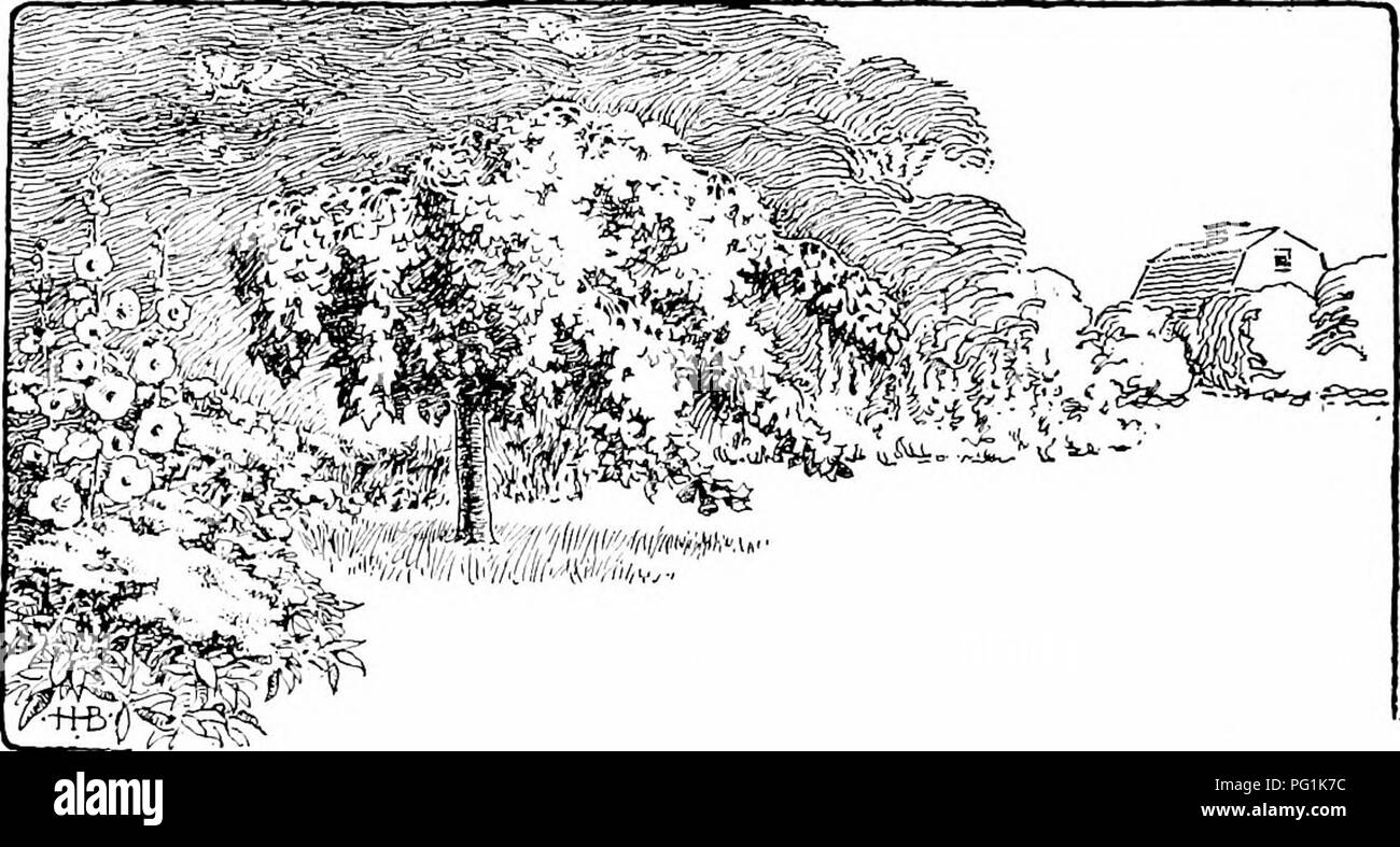 Grotesque tree Black and White Stock Photos & Images - Alamy