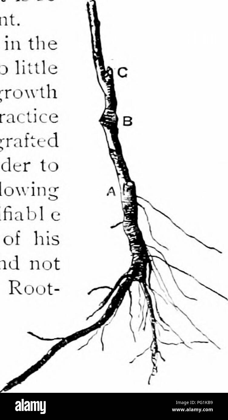 Get to the root of matter Black and White Stock Photos & Images - Alamy