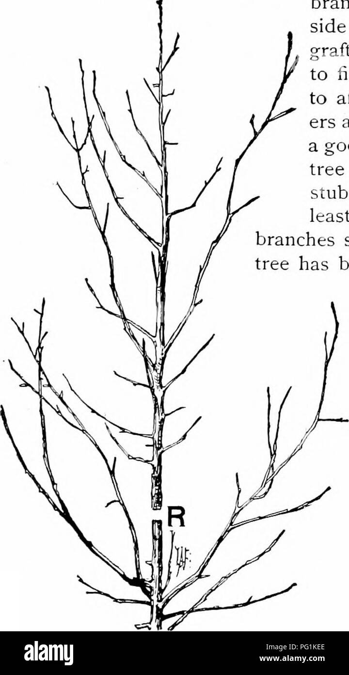 Nursery techniques Black and White Stock Photos & Images - Alamy