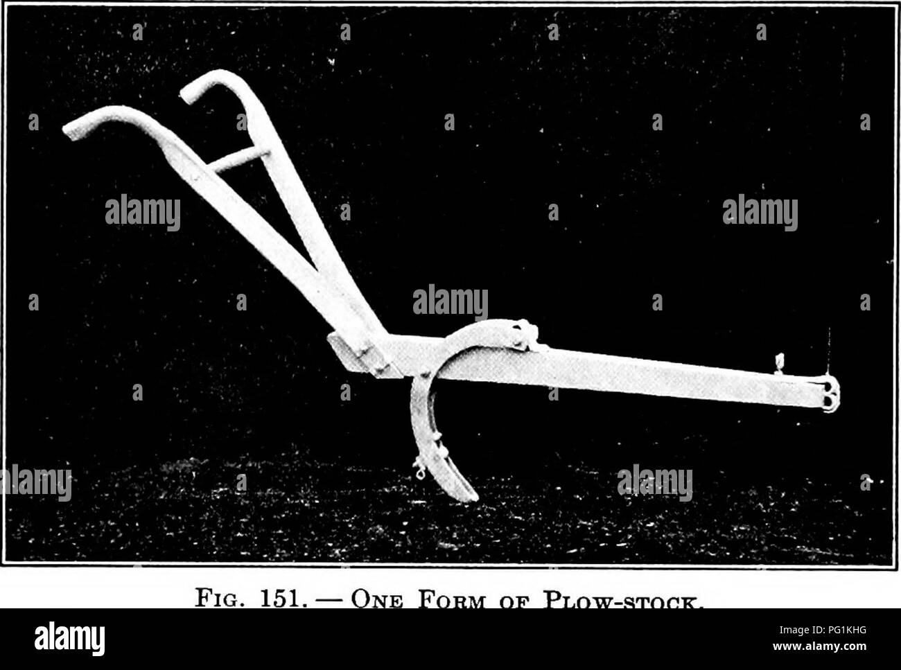 Rows of cotton plants Black and White Stock Photos & Images - Alamy