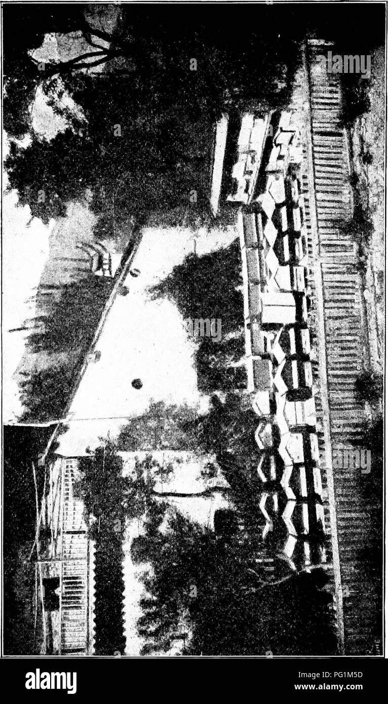 This illustration from 'Langstroth on the Hive and Honey Bee' shows the ...