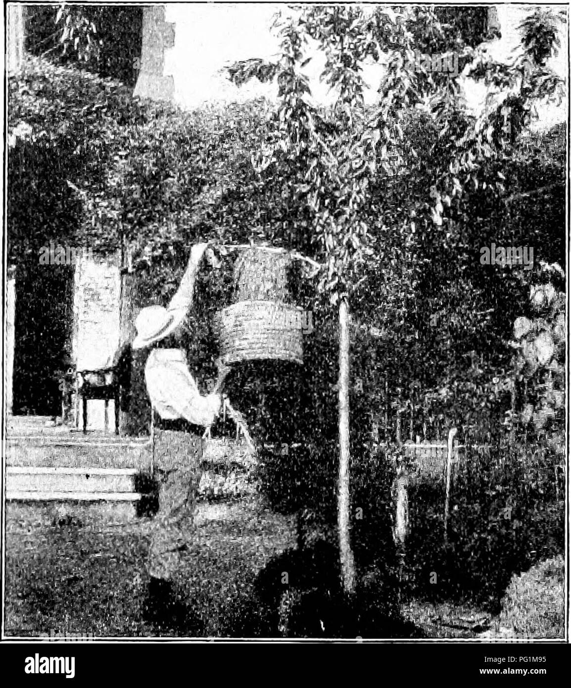 Natueal hi-res stock photography and images - Alamy