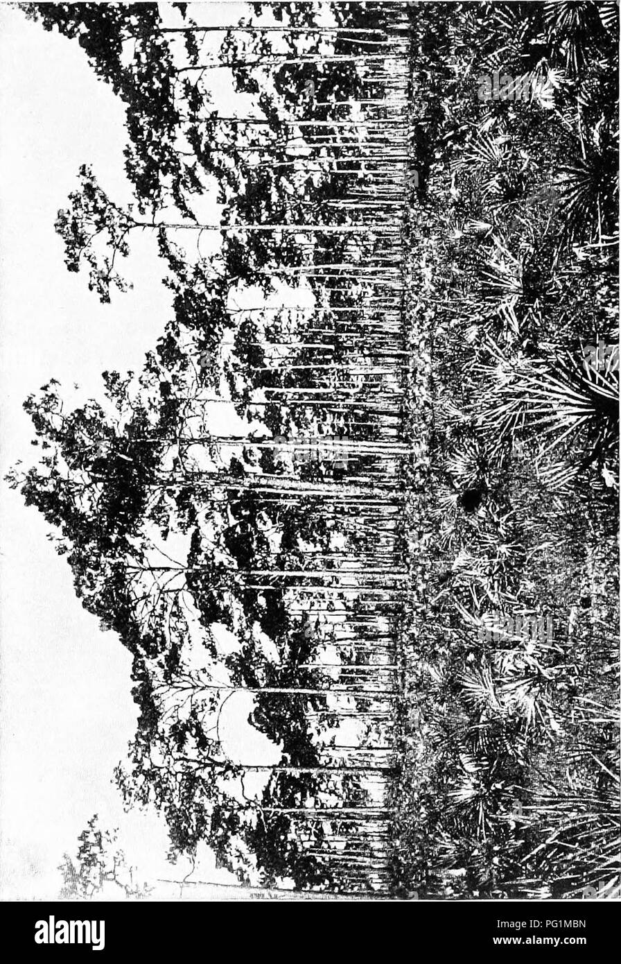 This textbook provides a comprehensive guide to botany for secondary ...