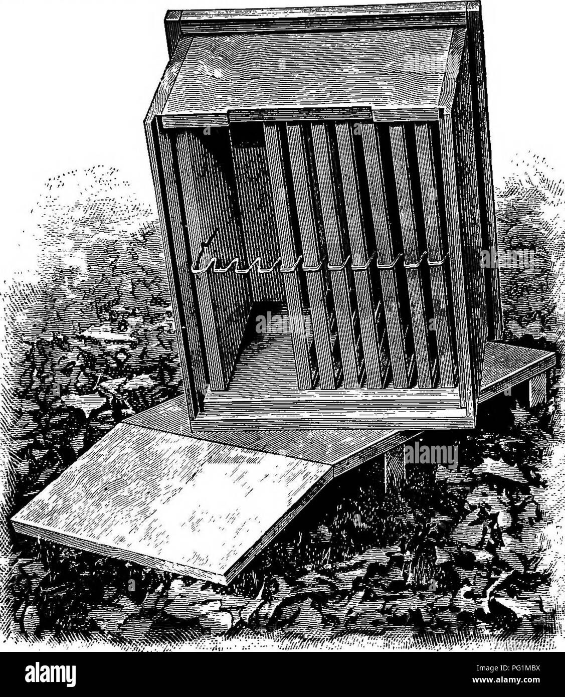 This 19th-century work by Langstroth discusses the design of movable ...