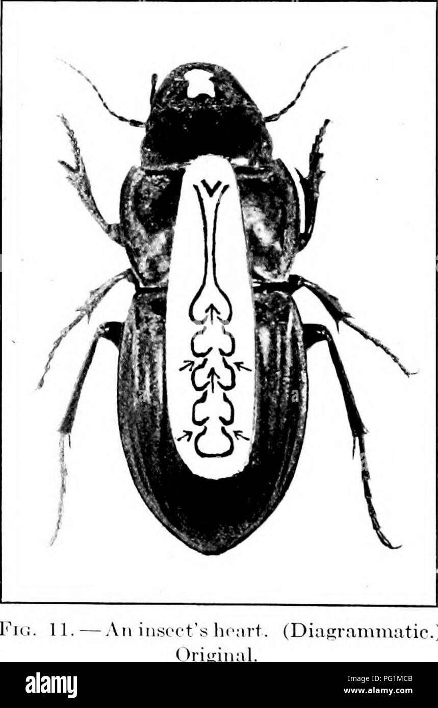 Opening valve Black and White Stock Photos & Images - Alamy