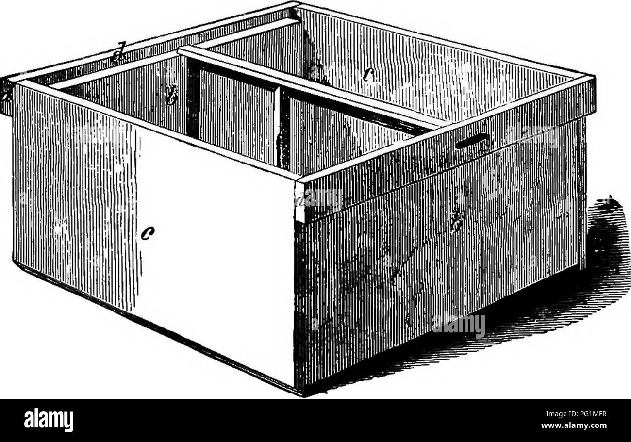 Lorenzo Lorraine Langstroth’s book details the principles of beekeeping ...