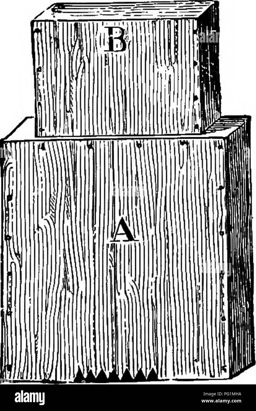 Bee gums hi-res stock photography and images - Alamy