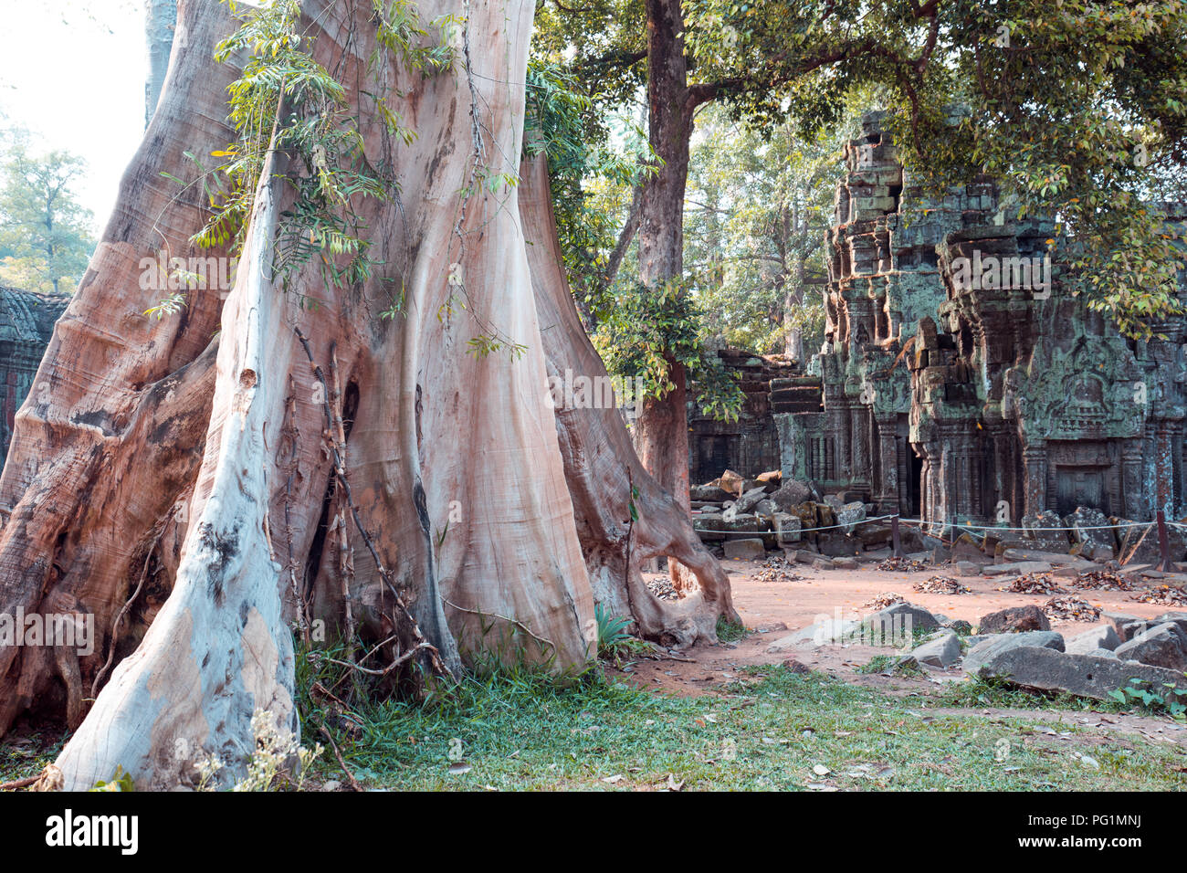 Plans of the temple hi-res stock photography and images - Alamy