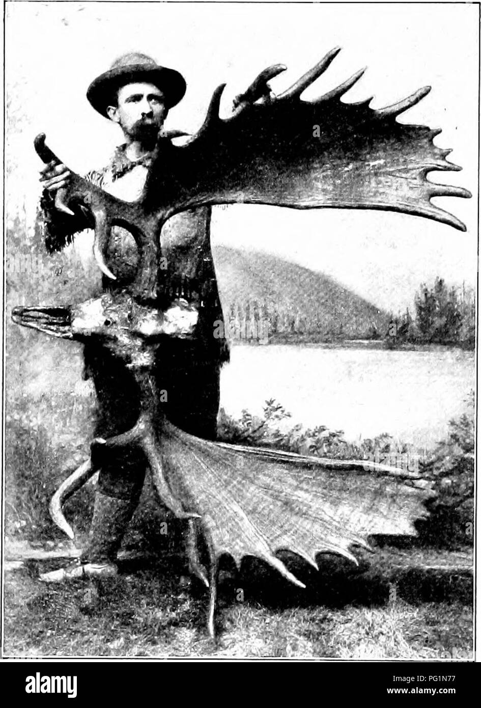 Riding moose hi-res stock photography and images - Alamy