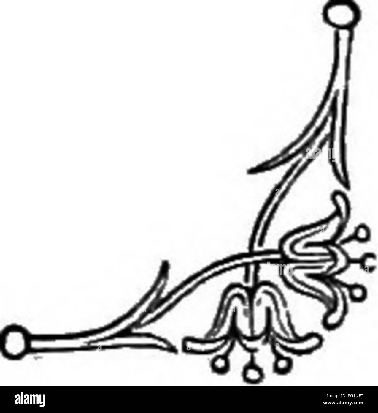 This work explores the symbolic meanings of flowers, delving into how ...