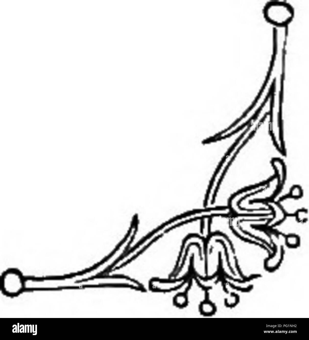 This book explores the symbolic meanings of flowers, describing their ...