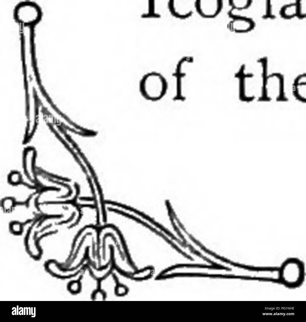 This work explores the symbolic meanings behind various flowers ...