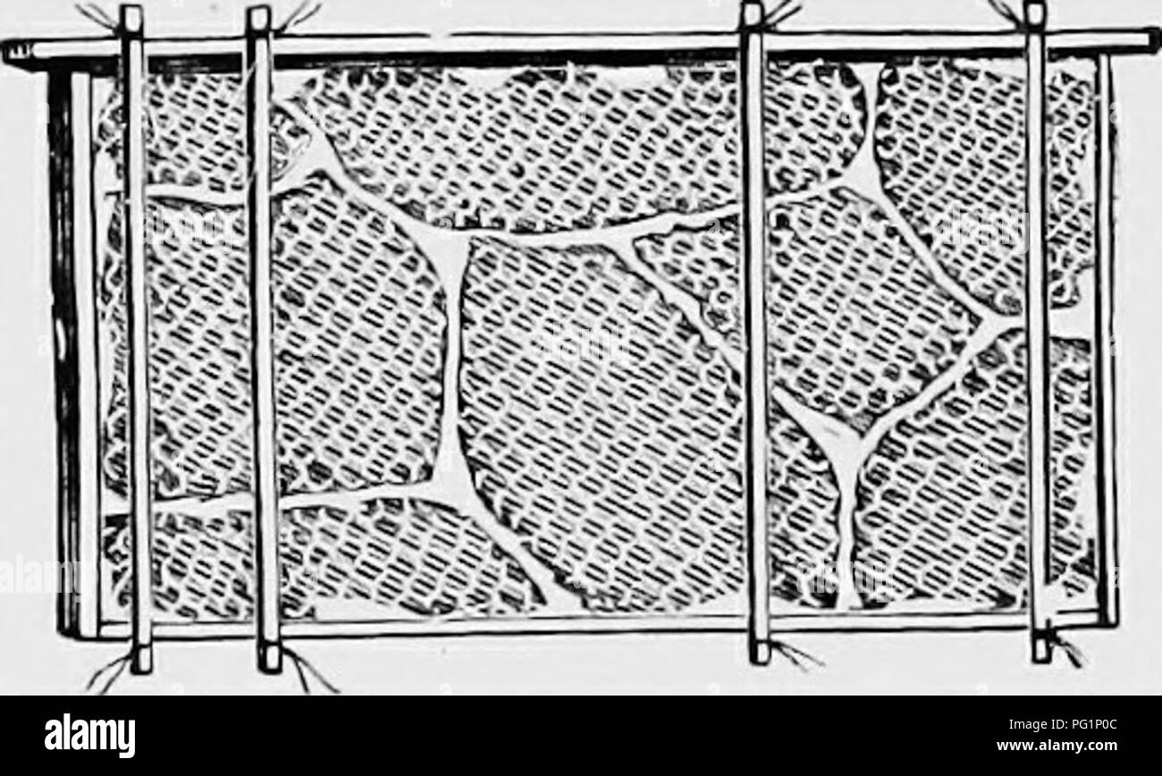 Work on bee culture Black and White Stock Photos & Images - Alamy