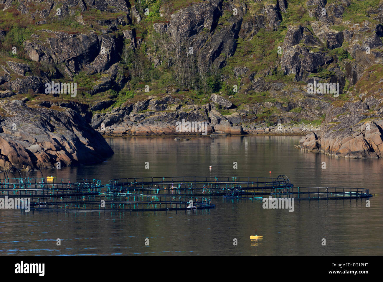 Fish Farm, Mortsund Village, Lofoten Islands, Nordland County, Norway ...