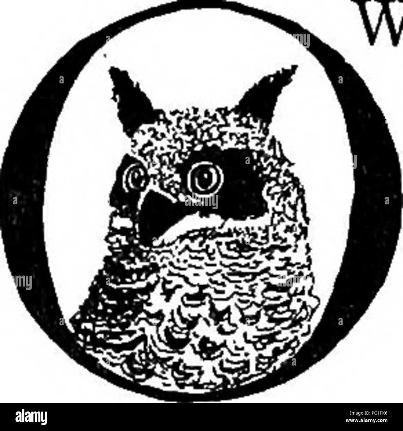 Predation symbol hi-res stock photography and images - Alamy