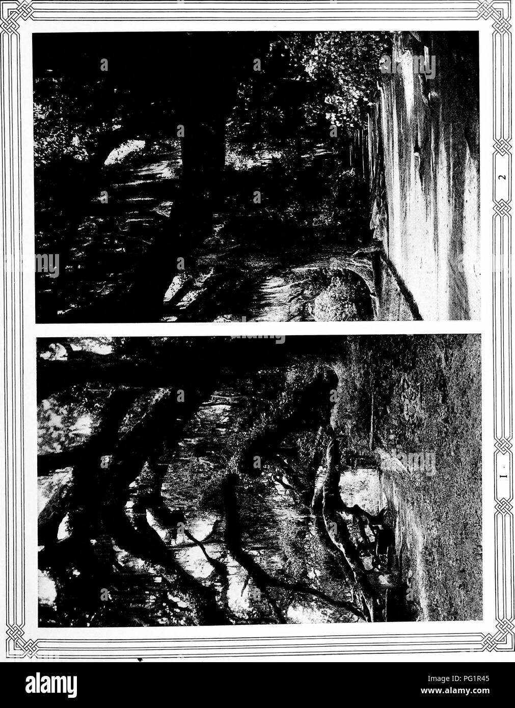 The 'American Gardens' publication explores various aspects of garden ...