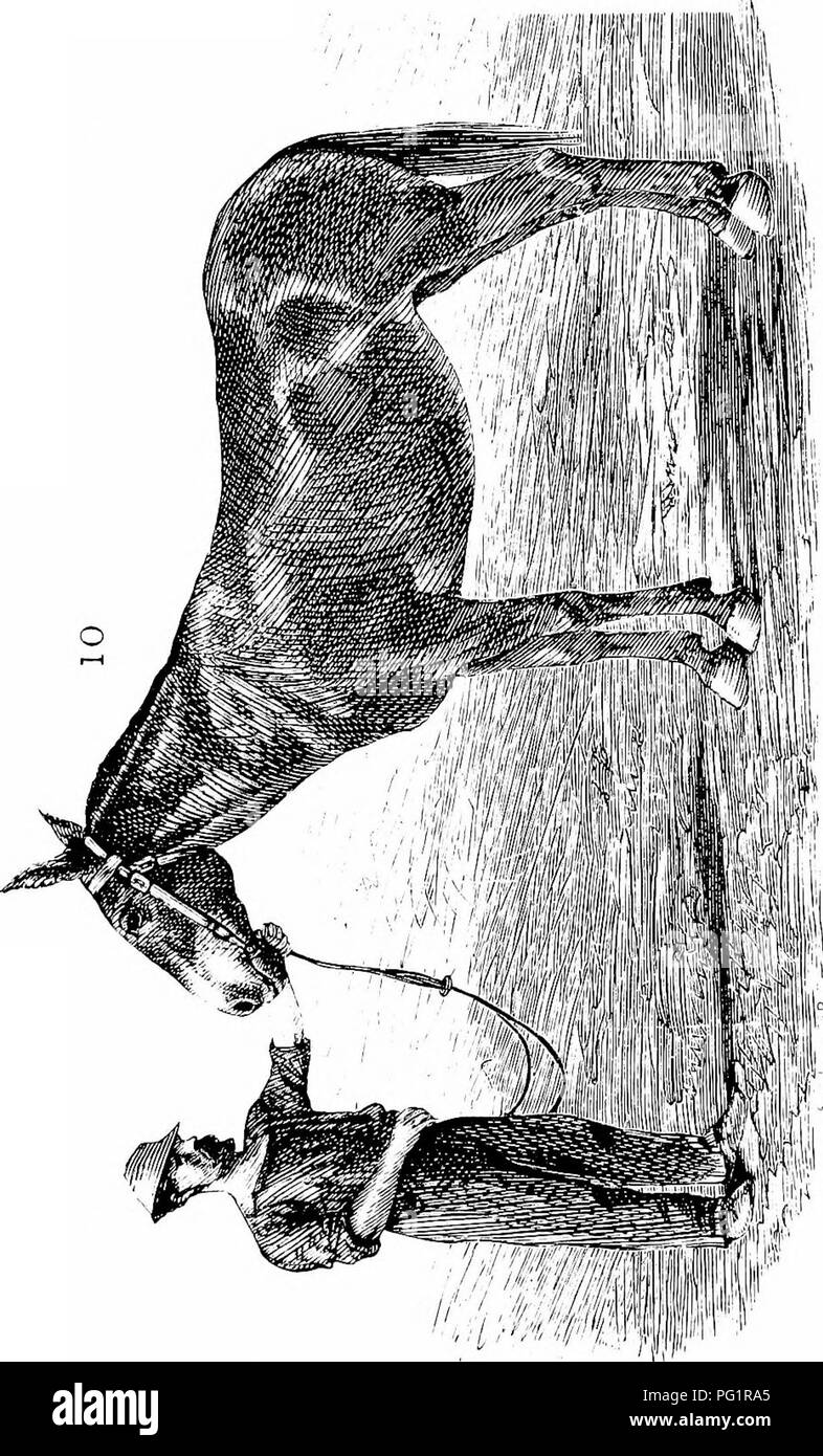 This treatise covers the breeding, training, and practical uses of ...