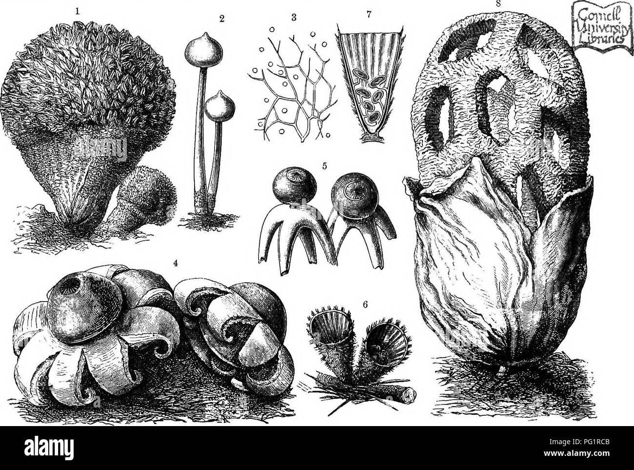 Gleba Black and White Stock Photos & Images - Alamy