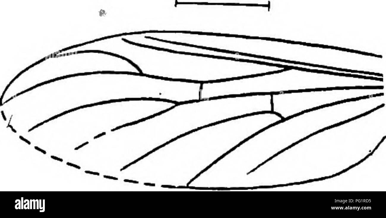 This work provides significant contributions to Canadian paleontology ...