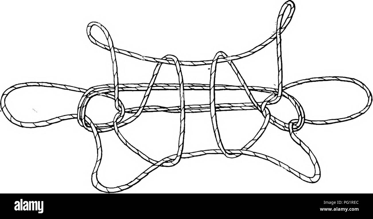 Ulnar loop hi-res stock photography and images - Alamy