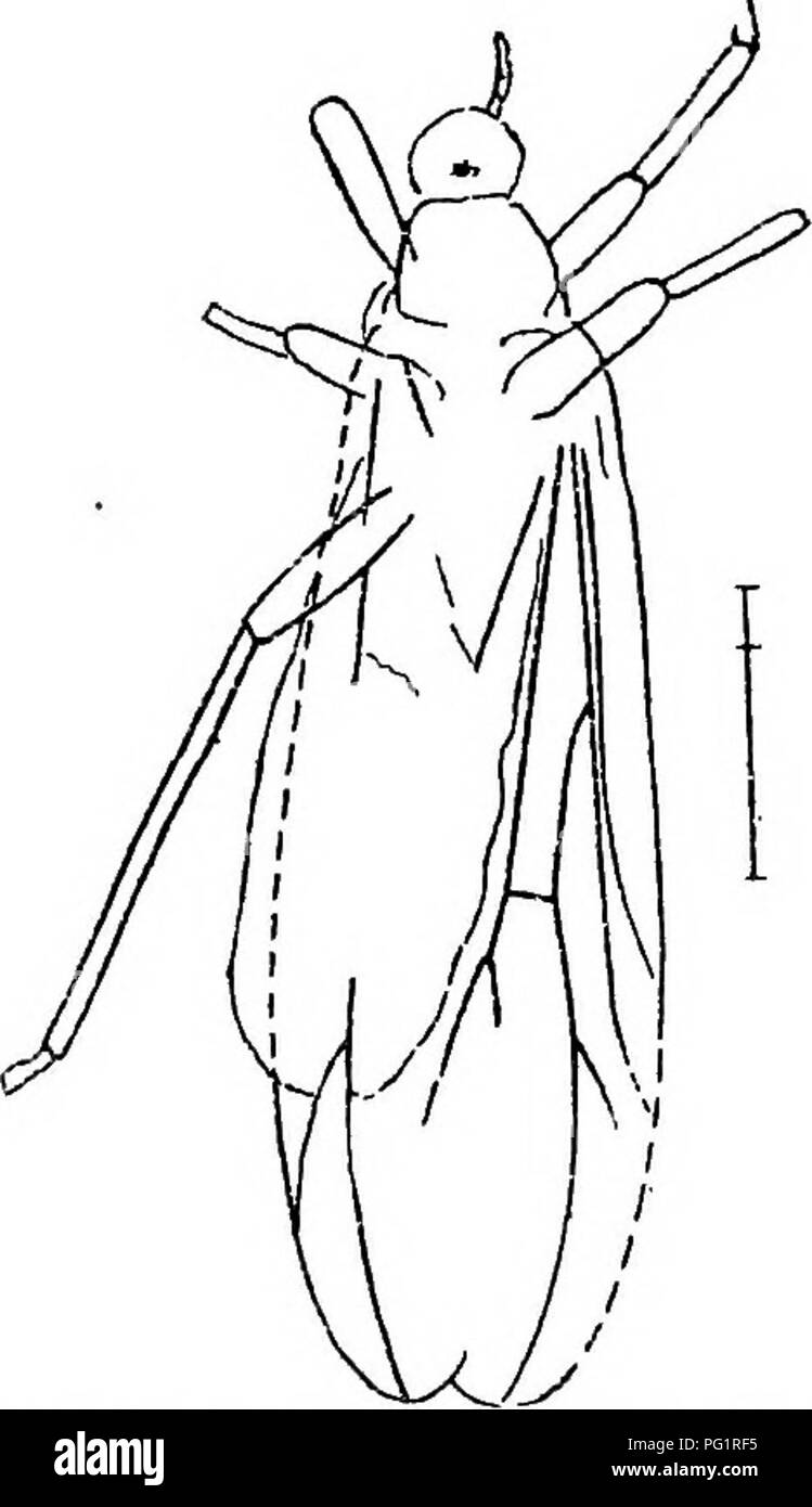 Curved veins Black and White Stock Photos & Images - Alamy