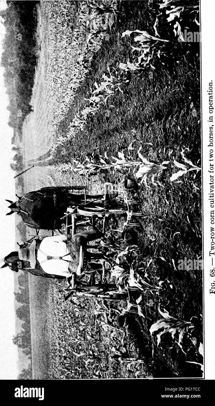 This image discusses the cultivation of corn, maize, kafir corn, and ...