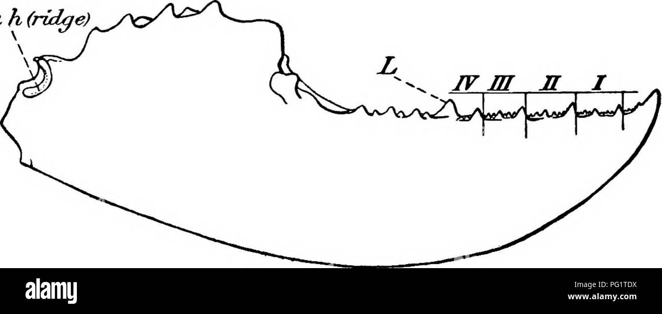 Tactile tip hi-res stock photography and images - Alamy