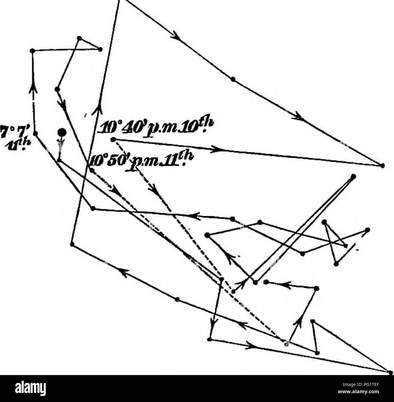 This work discusses the fascinating phenomenon of plant movement ...