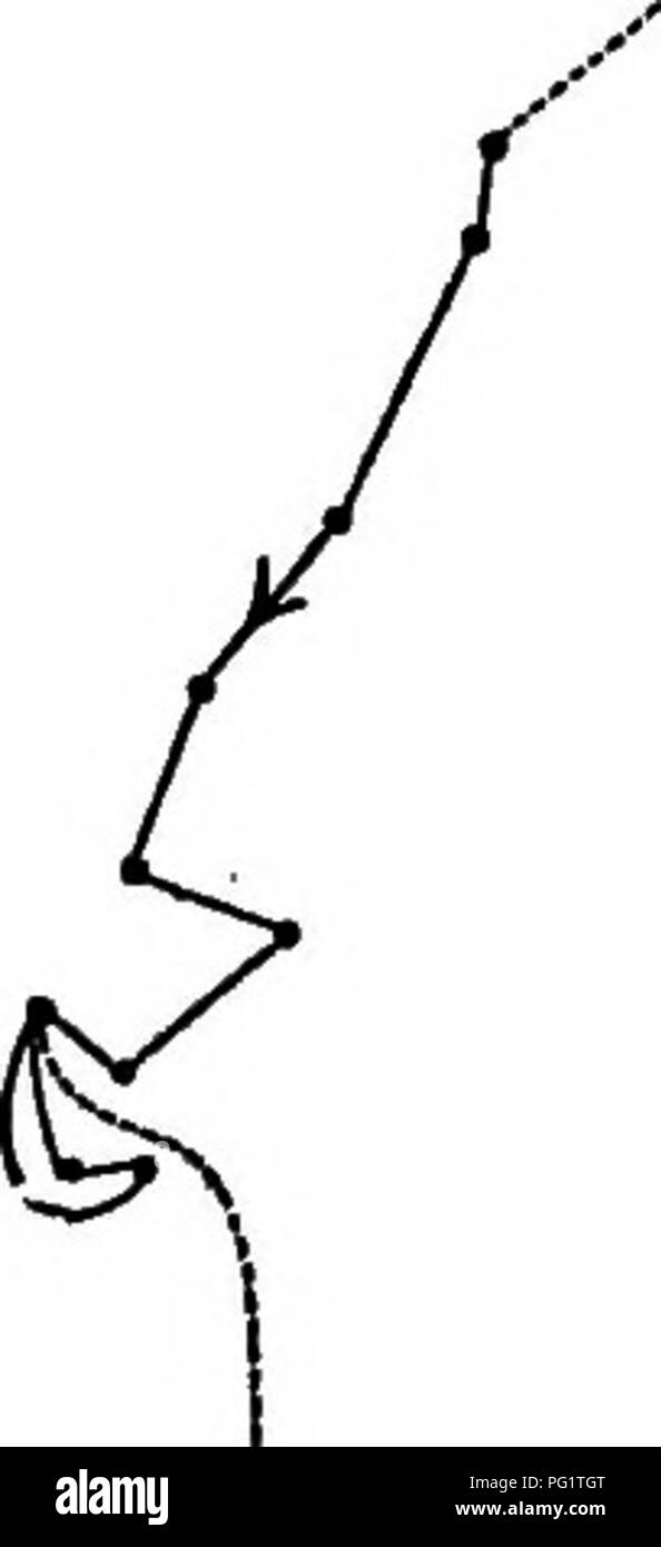 Tracing loops hi-res stock photography and images - Alamy