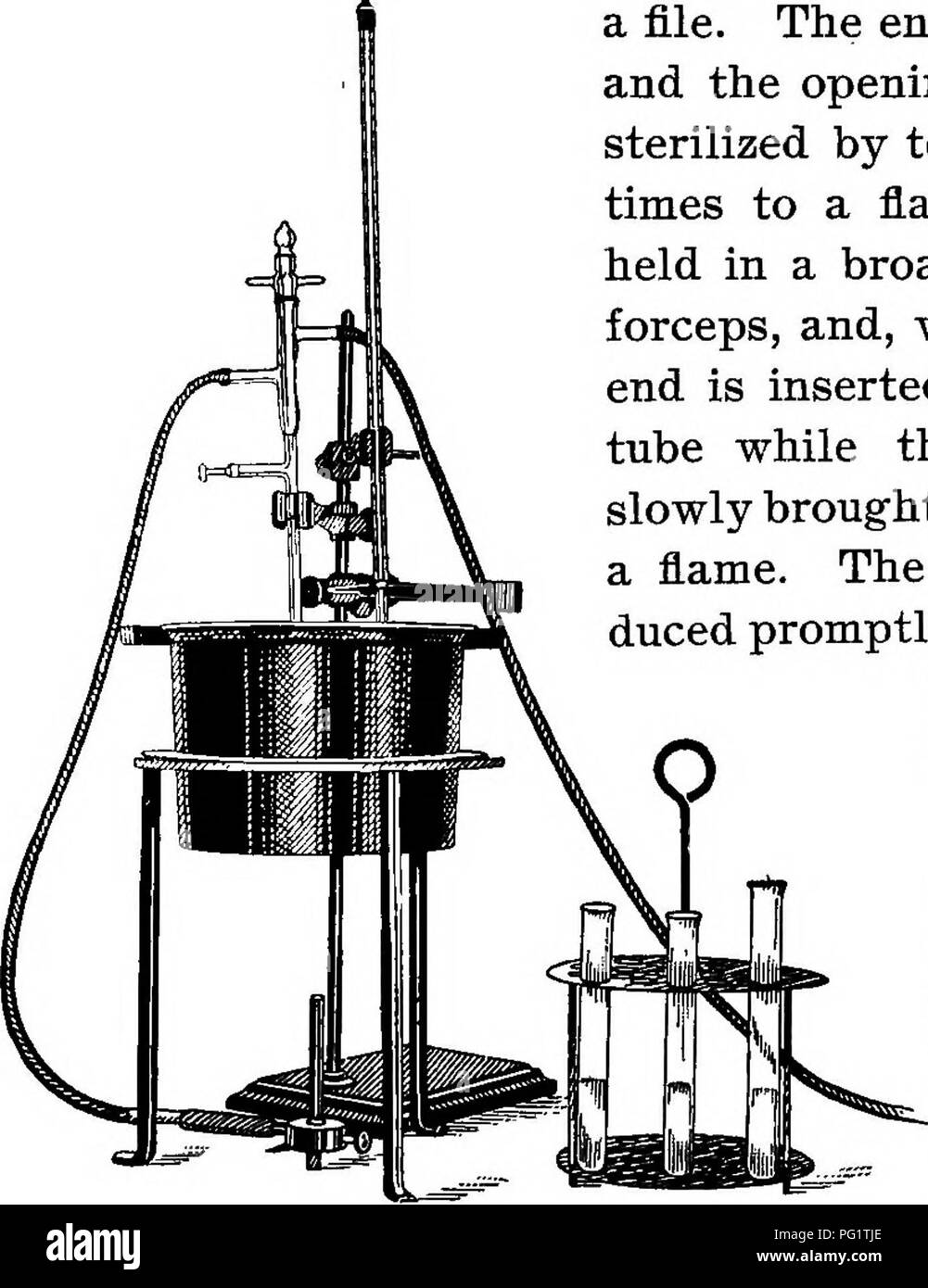 This image illustrates the laboratory techniques used in bacteriology ...