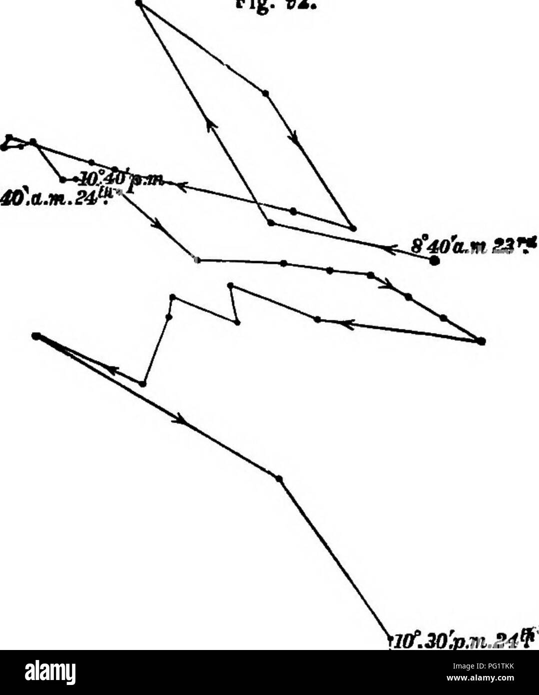 This study investigates the circumnutation of flower stems in plants ...