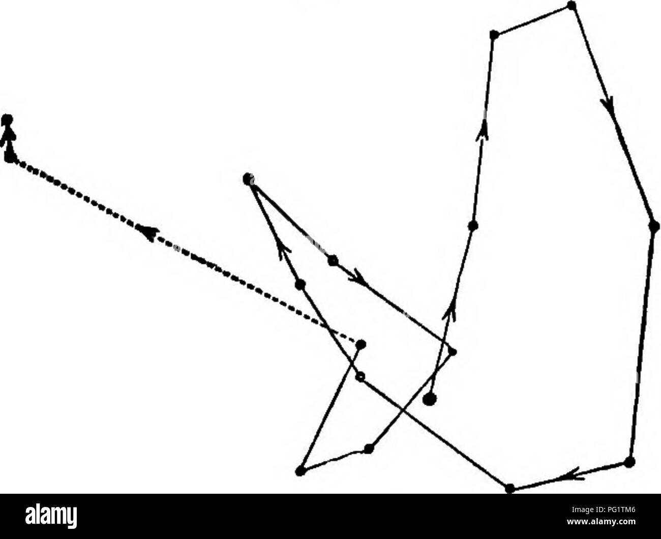 Phototropic phototropism hi-res stock photography and images - Alamy