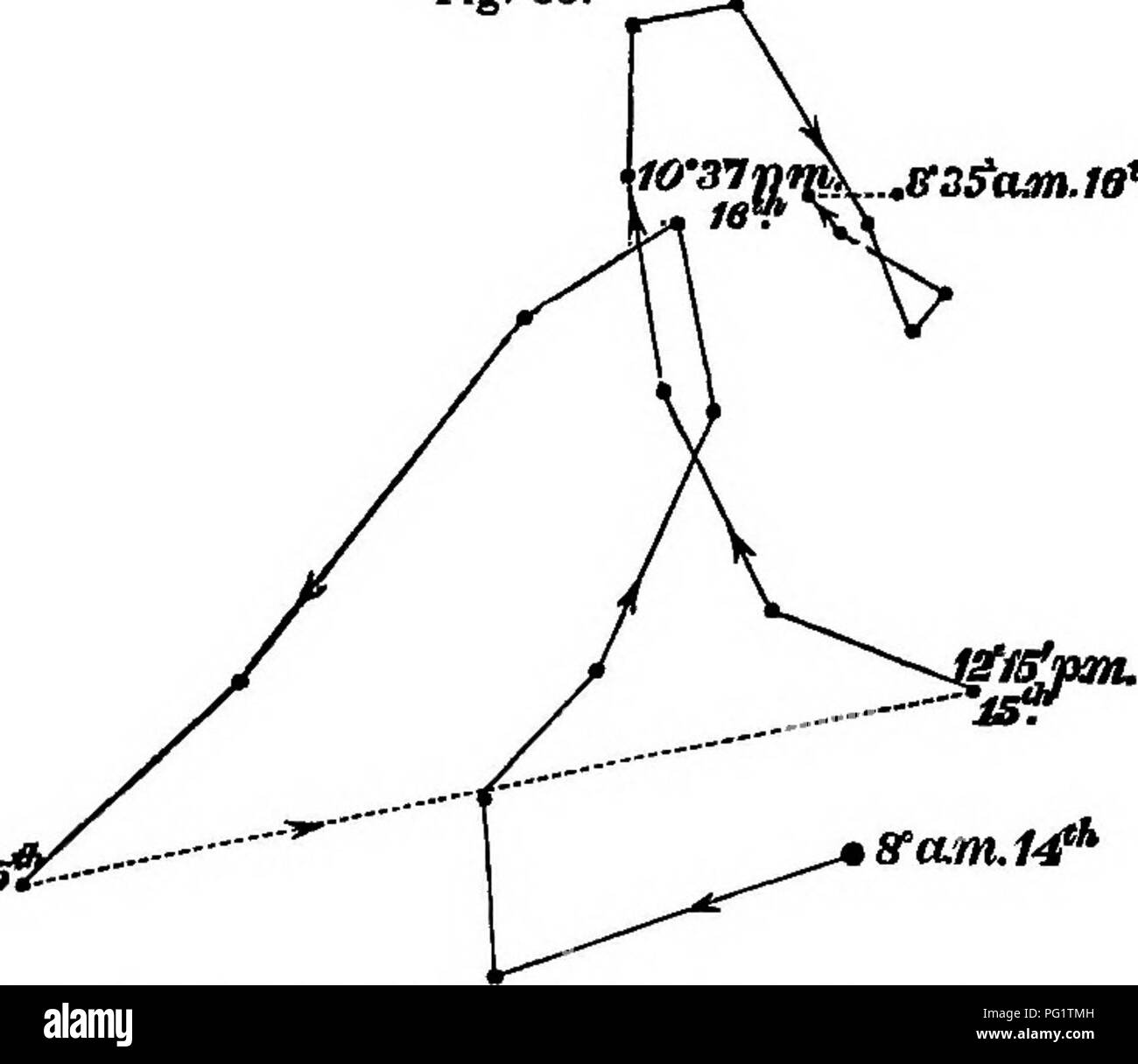 Plant stems diagram hi-res stock photography and images - Alamy