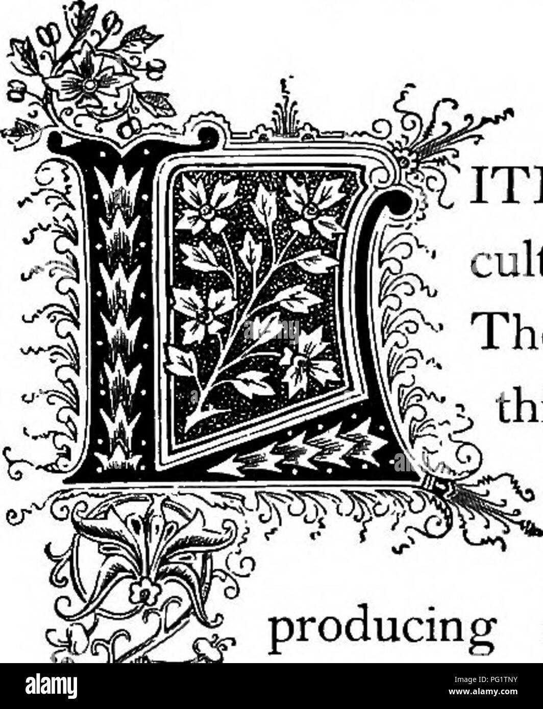 This page from 'The Floral Kingdom' describes the purple finger-flower ...