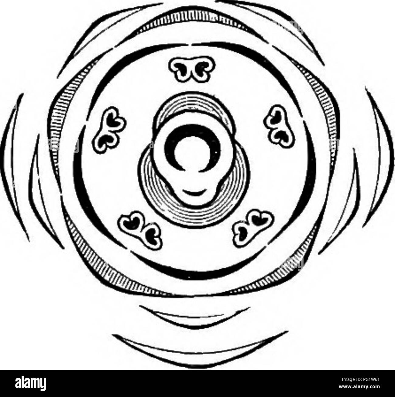 This work by Henri Baillon and Marcus Hartog provides a comprehensive ...