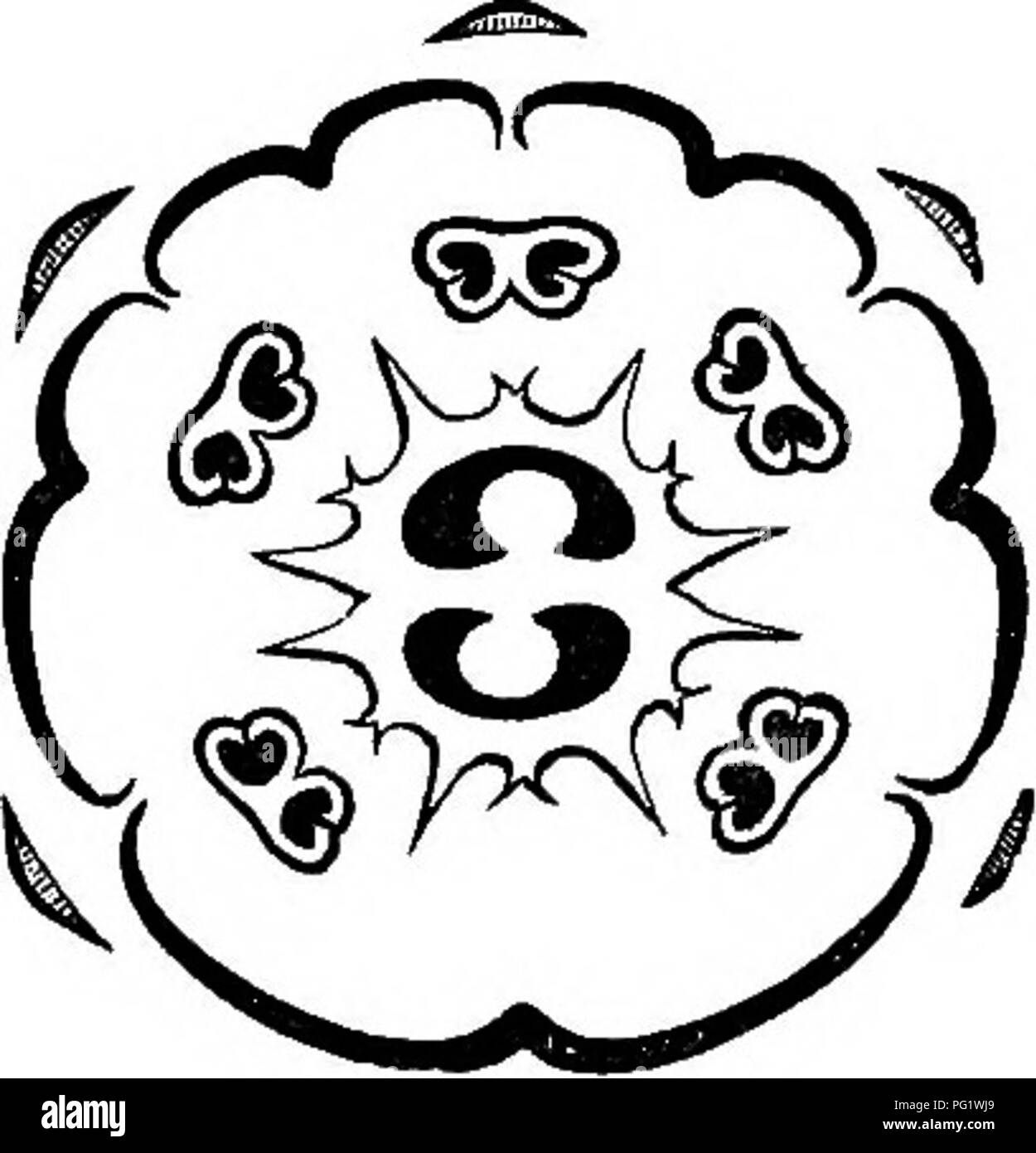 Concave ribs hi-res stock photography and images - Alamy