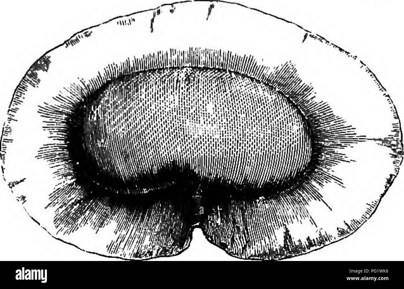 Liberty valves hi-res stock photography and images - Alamy