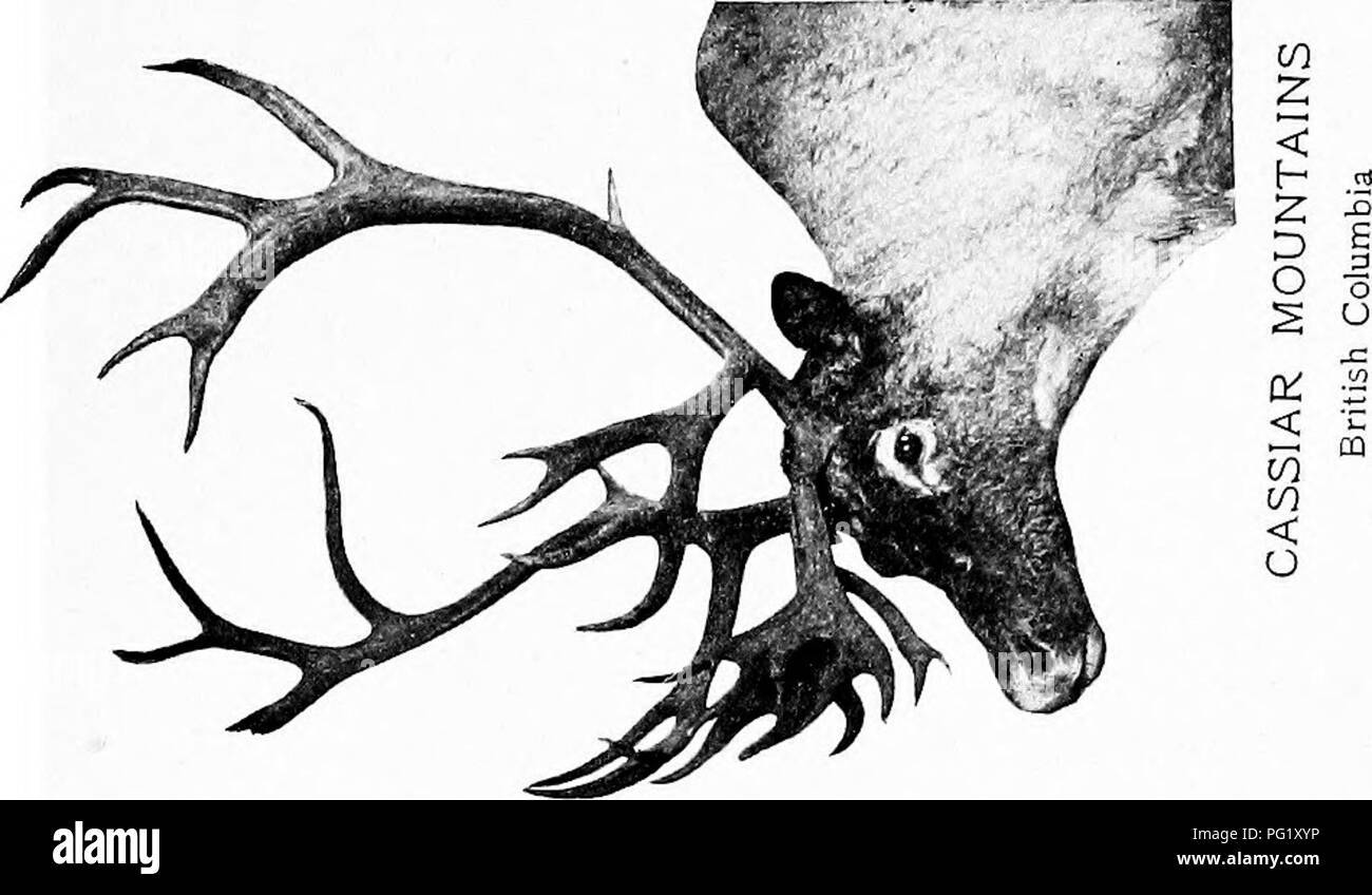 This book on *The Deer Family* covers various aspects of deer hunting ...