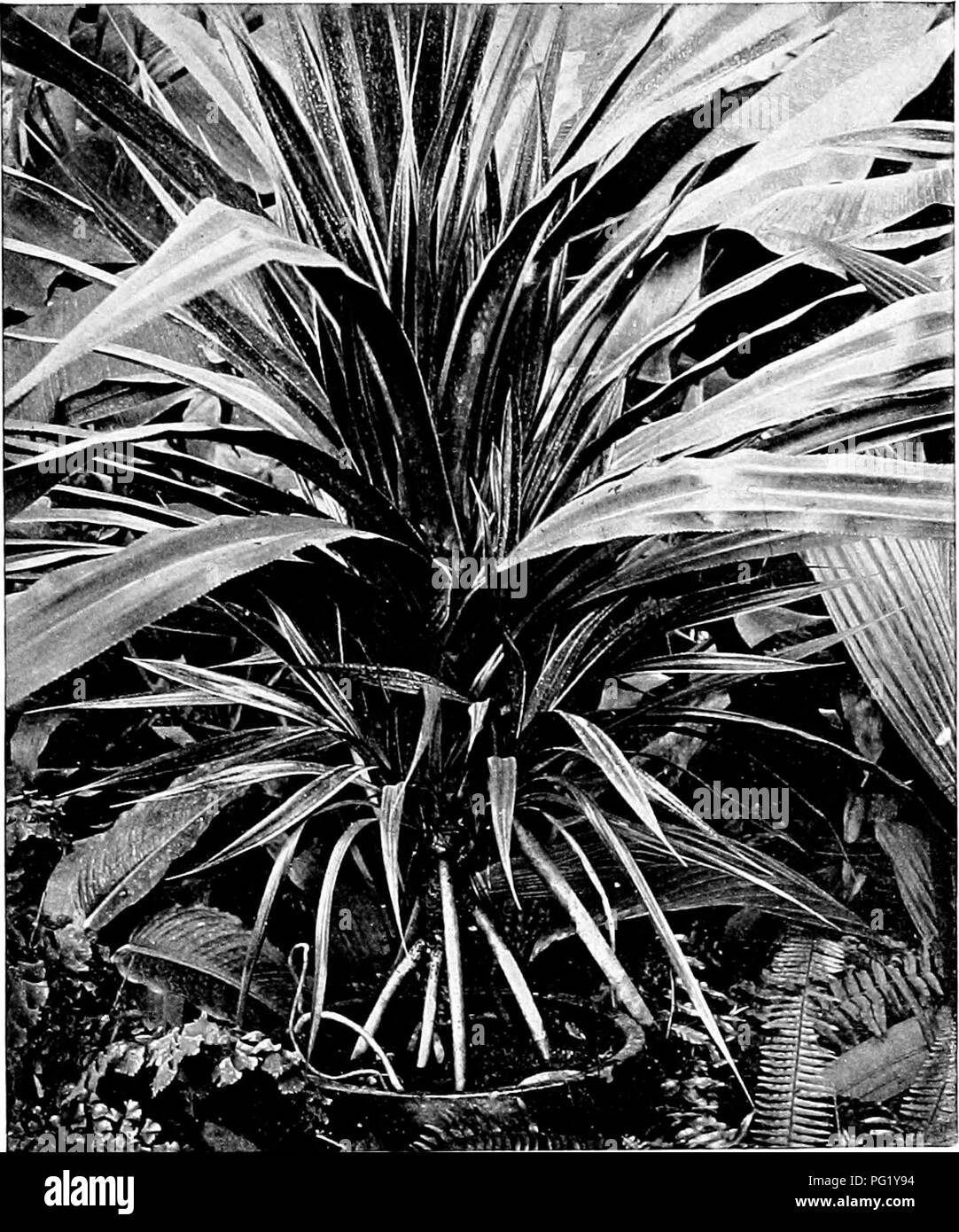 This introductory botany text provides foundational knowledge of plant ...