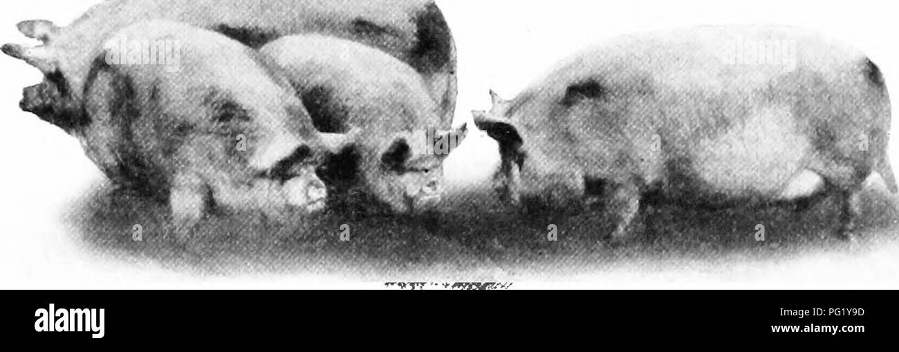 This manual offers comprehensive guidelines for the selection, breeding ...