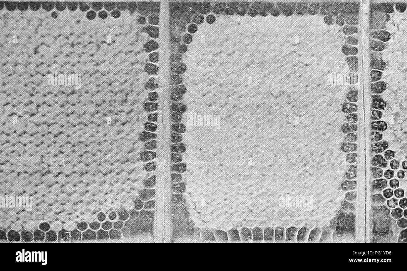 Desirable cars Black and White Stock Photos & Images - Alamy