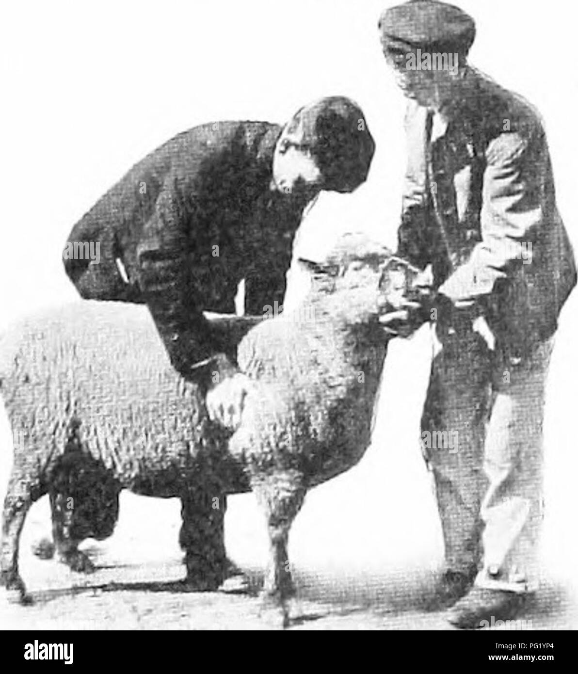 Note the width Black and White Stock Photos & Images - Alamy