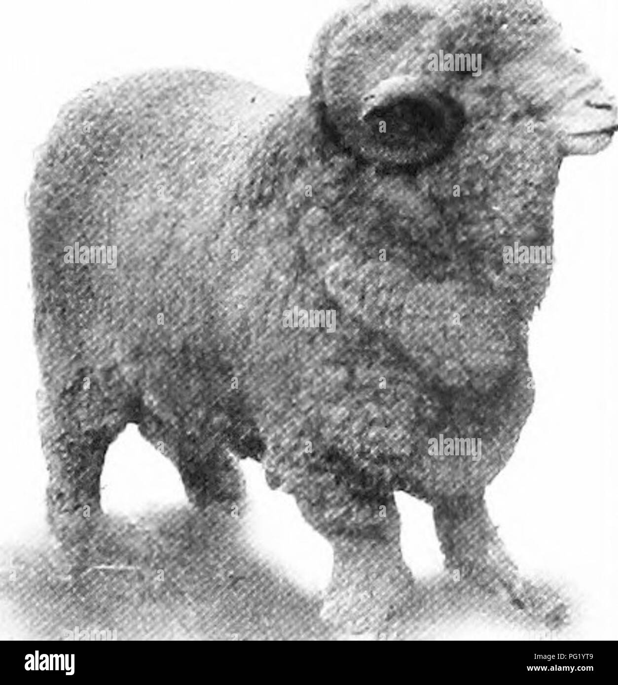 This image from the Manual of Farm Animals illustrates the various ...