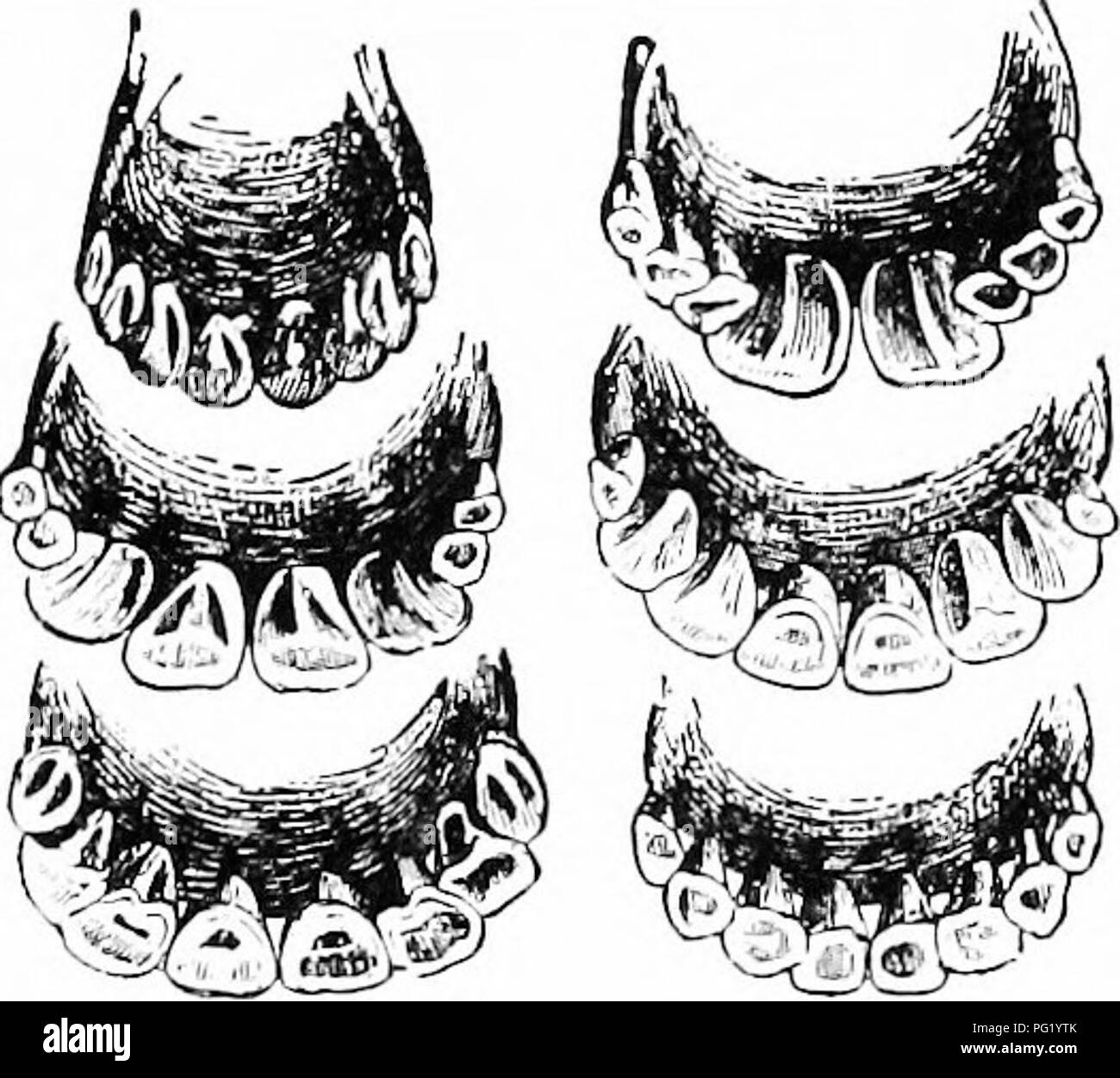 This manual provides practical advice on choosing, breeding, and ...