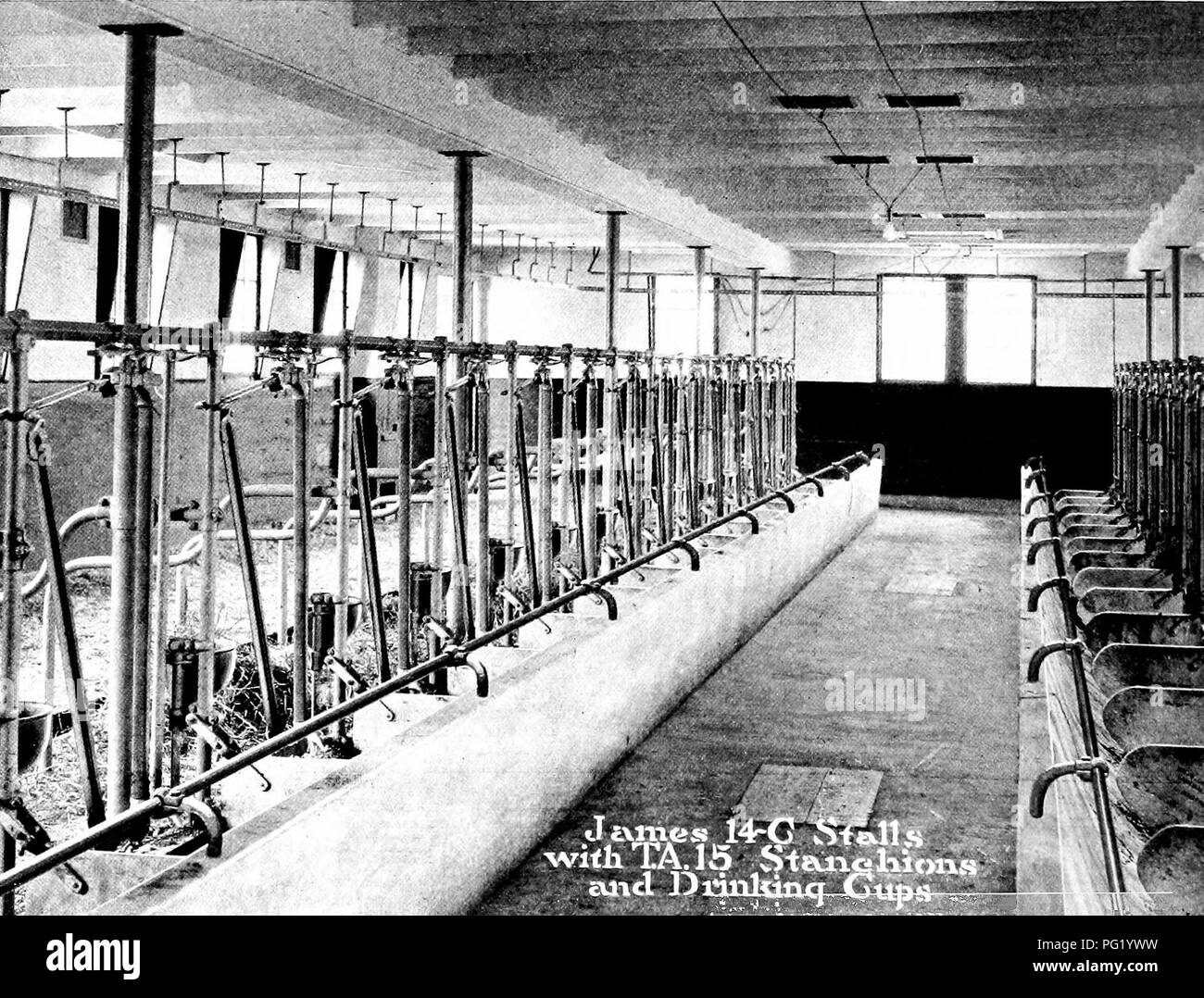 This guide outlines the process of constructing and equipping modern ...