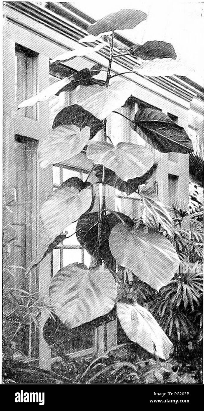 This text covers the basics of botany, focusing on the relationship ...